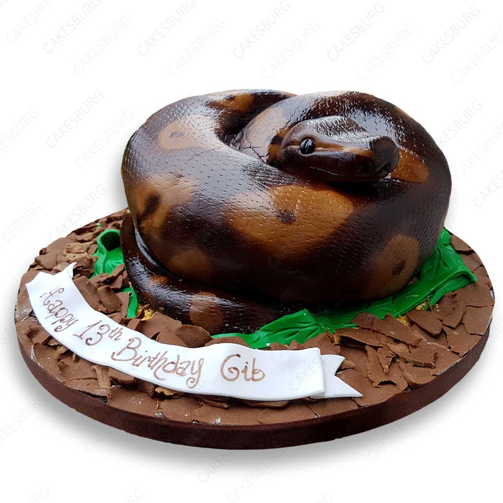 Python Snake Cake
