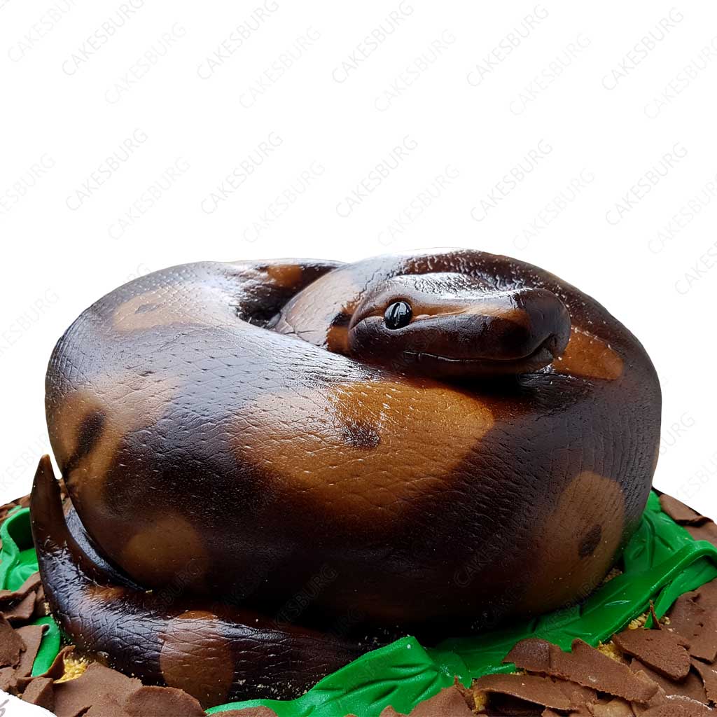 Python Snake Cake