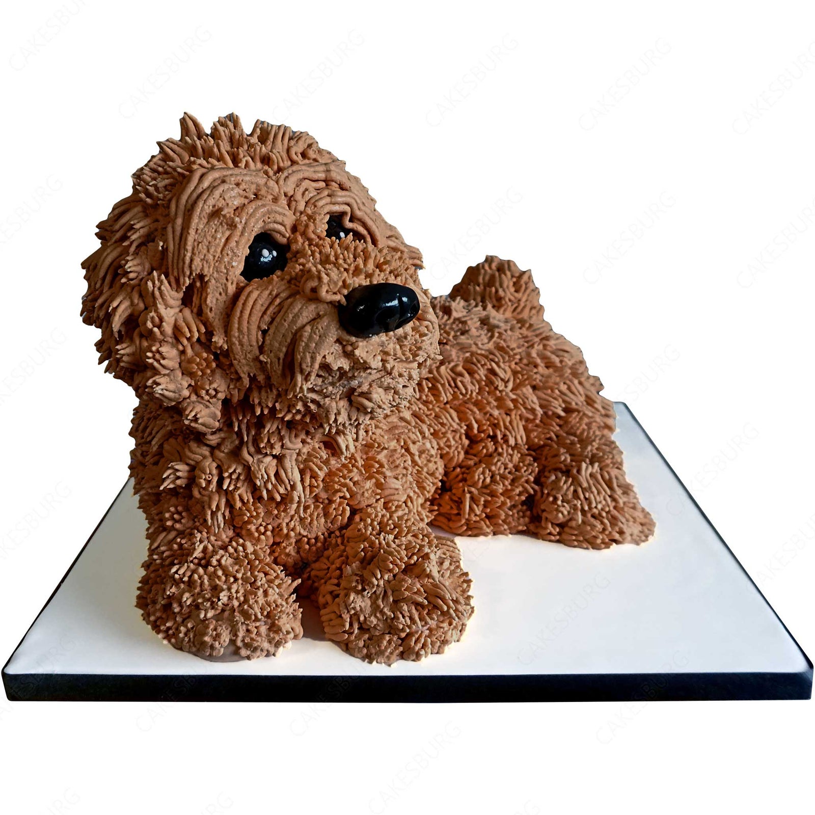 Cockapoo Dog Cake - Brown